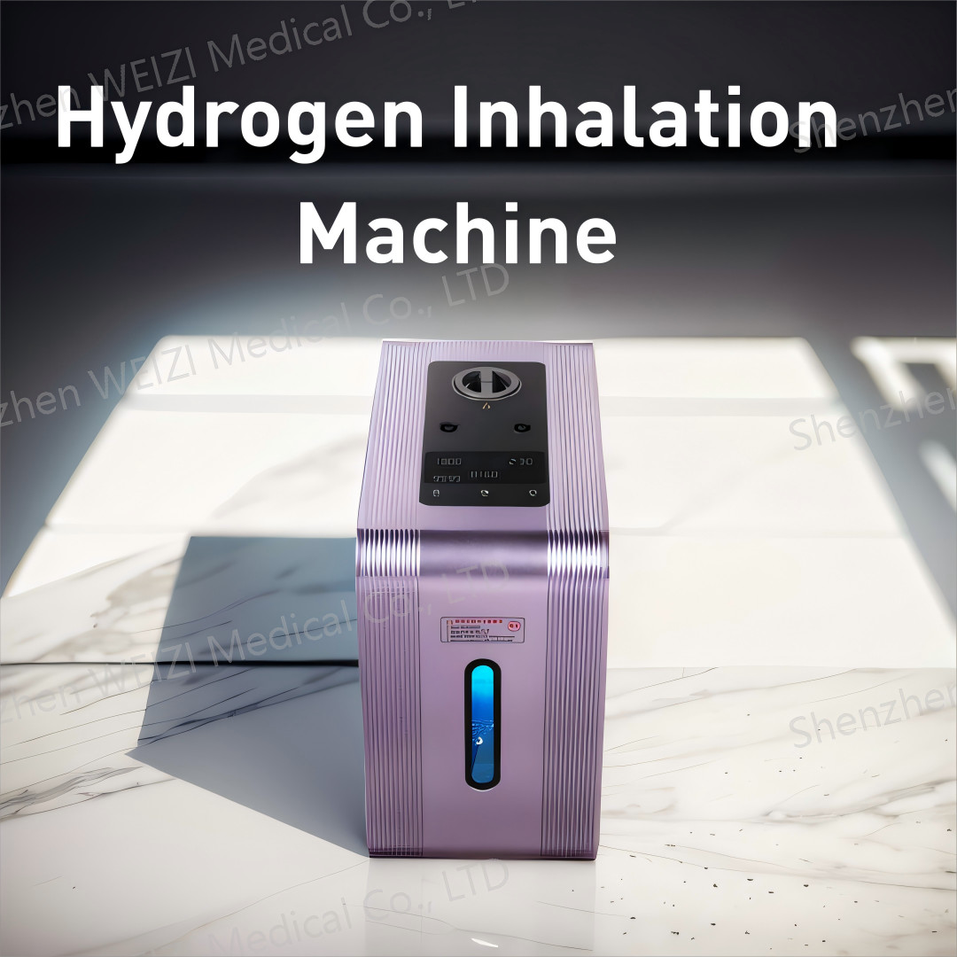 Double Suction Hydrogen Gas Inhalation Machines Hydrogen Inhalers 450W